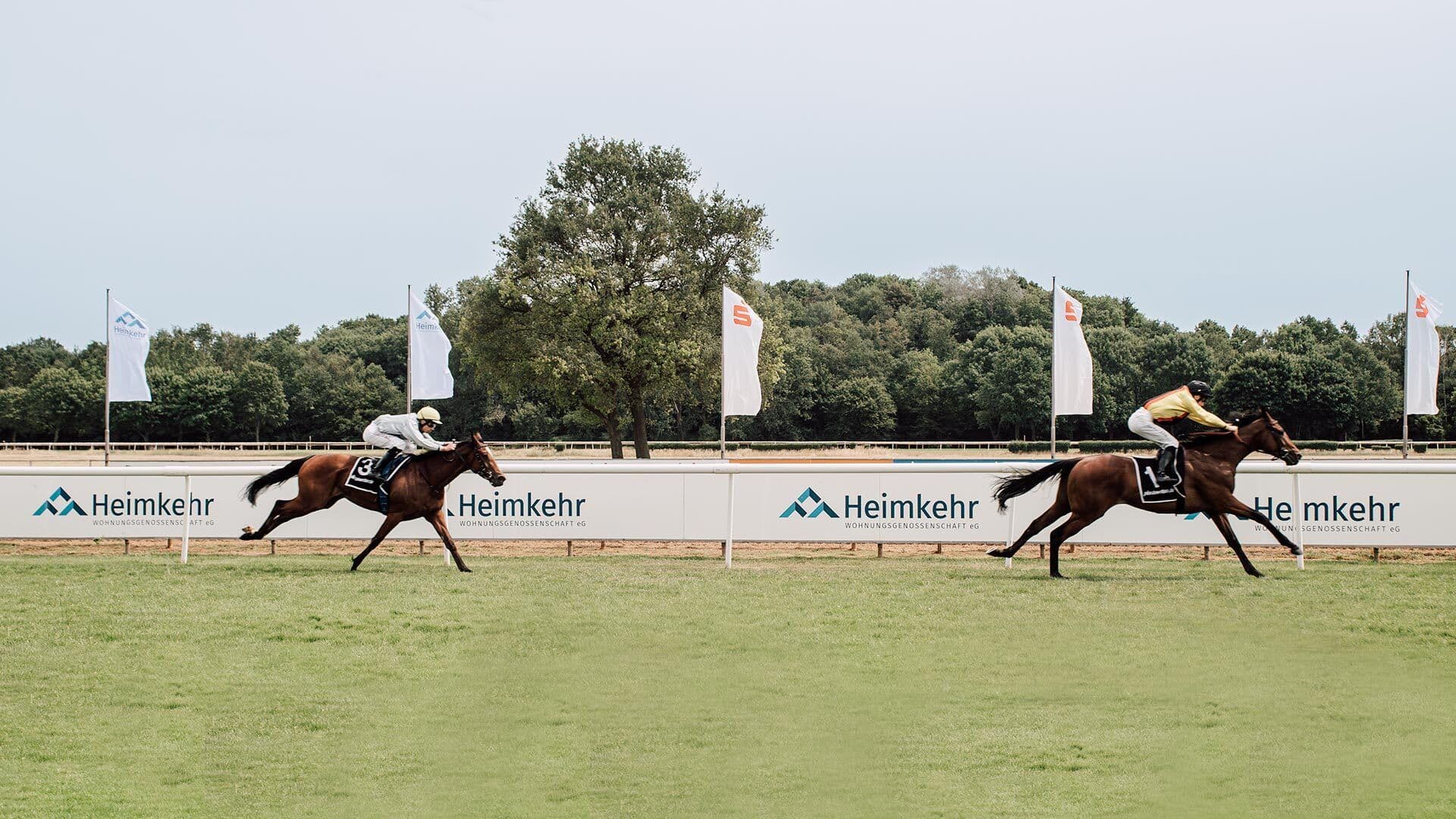 Jetzt werden die Hufe geschwungen! | Heimkehr eG - Wir wohnt besser.